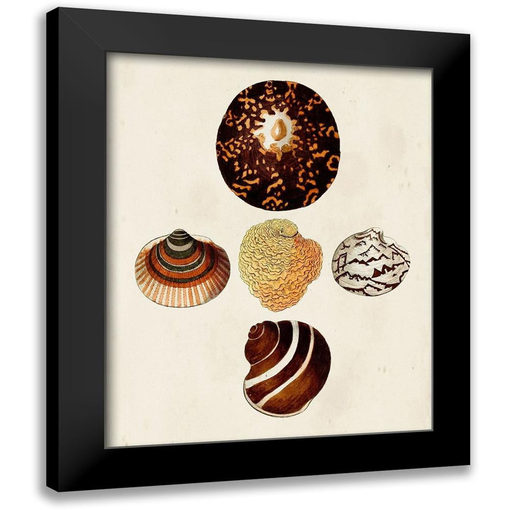 Knorr, G.W. 15x18 Black Modern Framed Museum Art Print Titled - Knorr ...