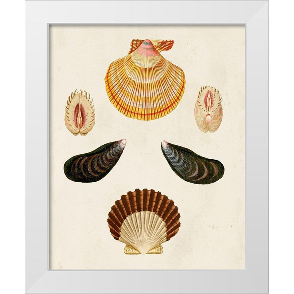 Knorr, G.W. 20x24 White Modern Wood Framed Museum Art Print Titled ...