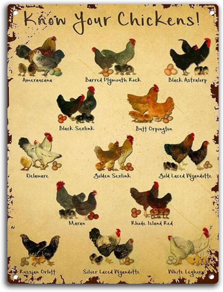 Know Your Chicken Chicken Knowledge,Vintage Funny Poster Wall Decor Art Gift Retro Picture Metal ...