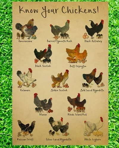Know Your Chickens Poster Wall Decor Poster Garage Wall Decor Metal ...