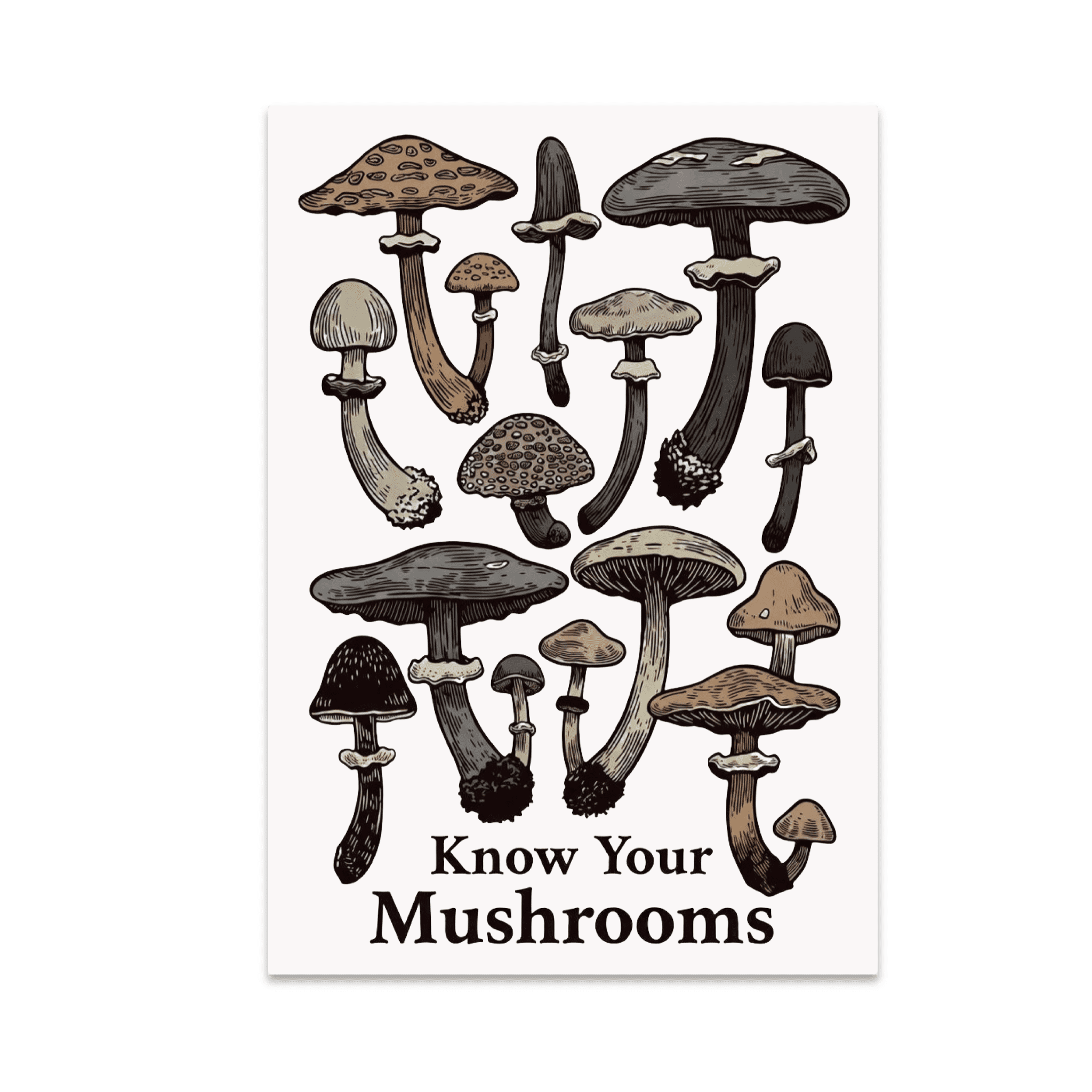 Know Your Mushrooms Forager Guide - Nature Enthusiast - 13x19 Poster ...