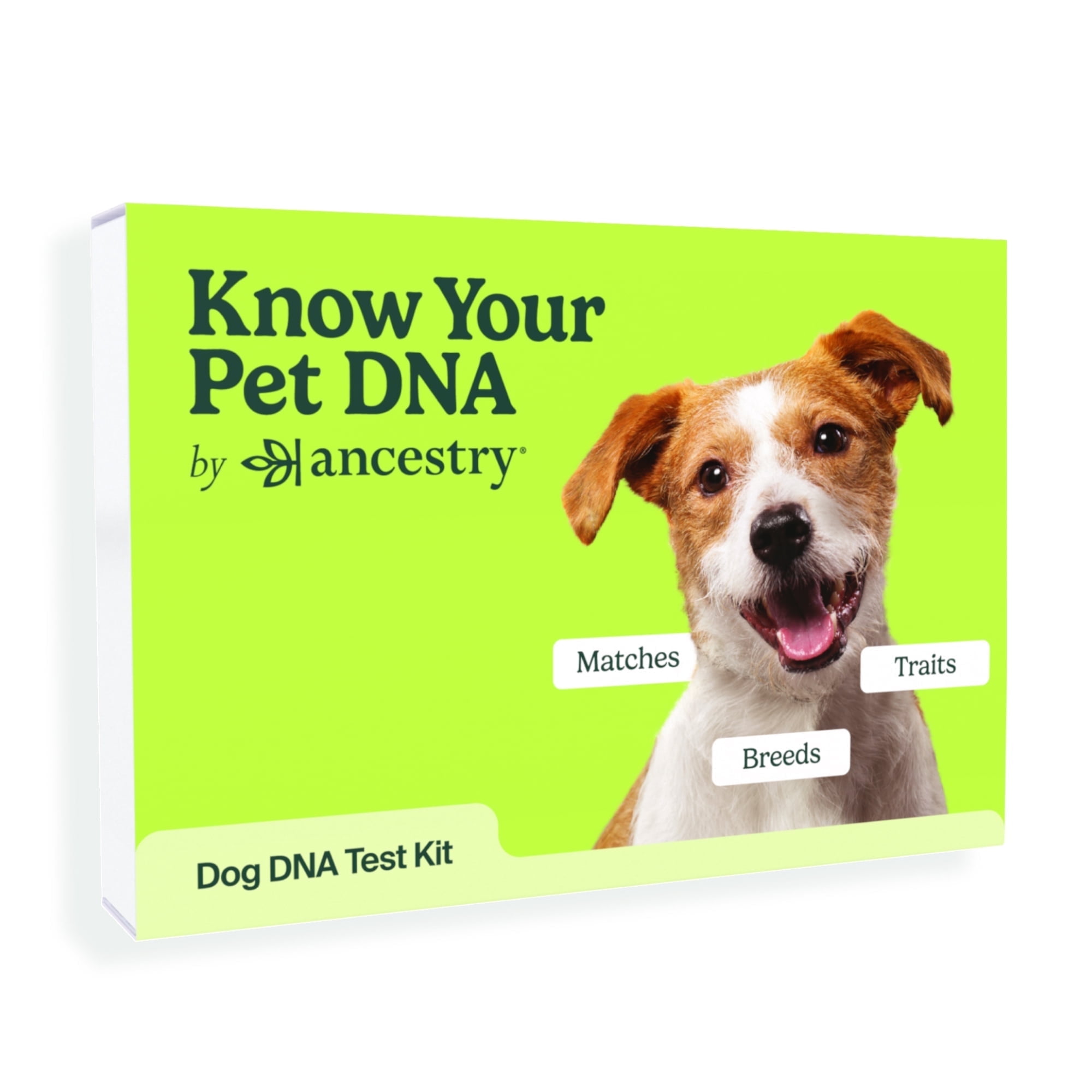 Ancestry Dog DNA Breed Identification Test Kit: Discover Genetic Traits ...