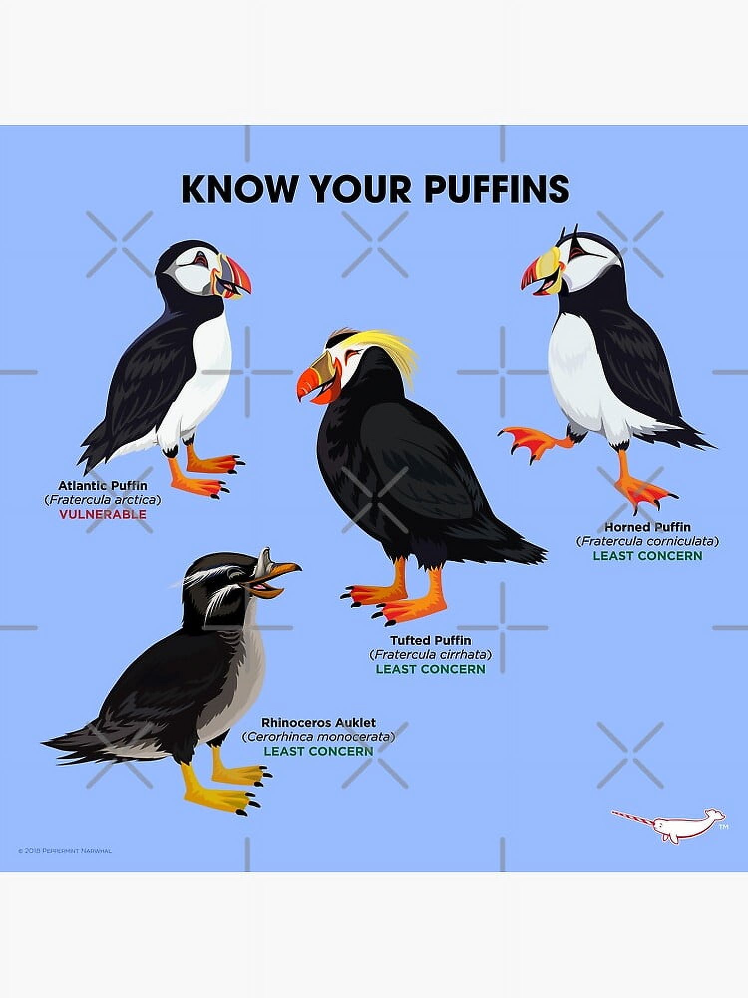 Know Your Puffins Poster Framed-unframed - Walmart.com
