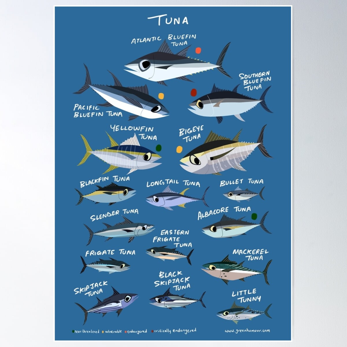 Know Your Tuna Poster Wall Art, Modern Wall Decor For Living Room ...