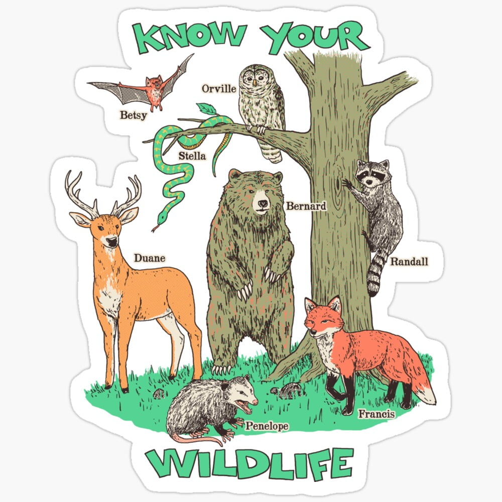 Know Your Wildlife Sticker Phone Decal Water Bottle Stickers Car Decals ...