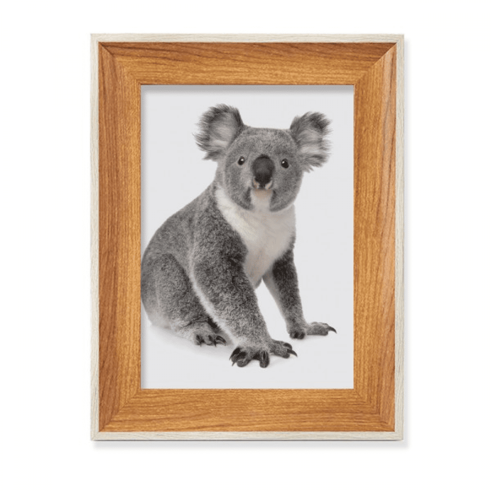 Koala Body Ears Desktop Wooden Photo Frame Display Picture Art Painting ...