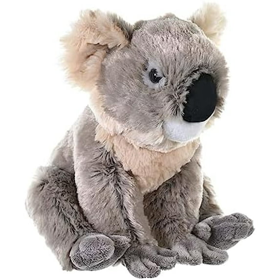Koala Plush, Stuffed Animal, Plush Toy, Gifts for Kids, Cuddlekins 12 ...