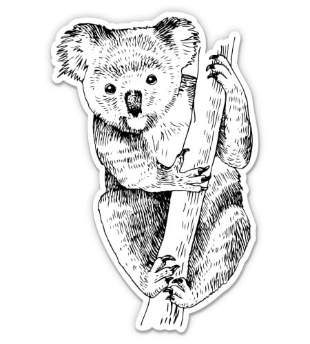 Koala Sketch - 5" Vinyl Sticker - For Car Laptop I-Pad - Waterproof ...