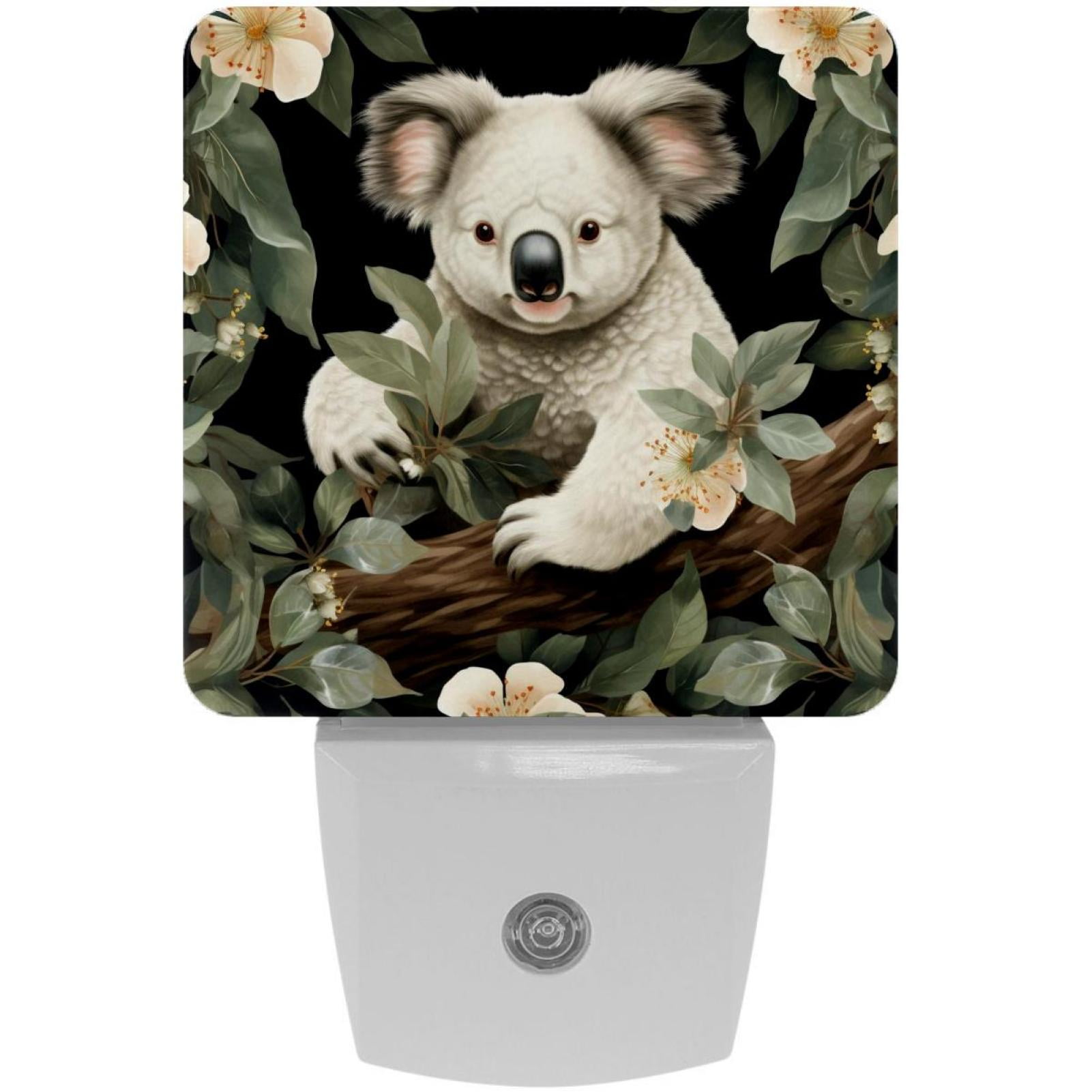 Koala Square LED Night Lights - Small, Portable Lighting for Any Room ...
