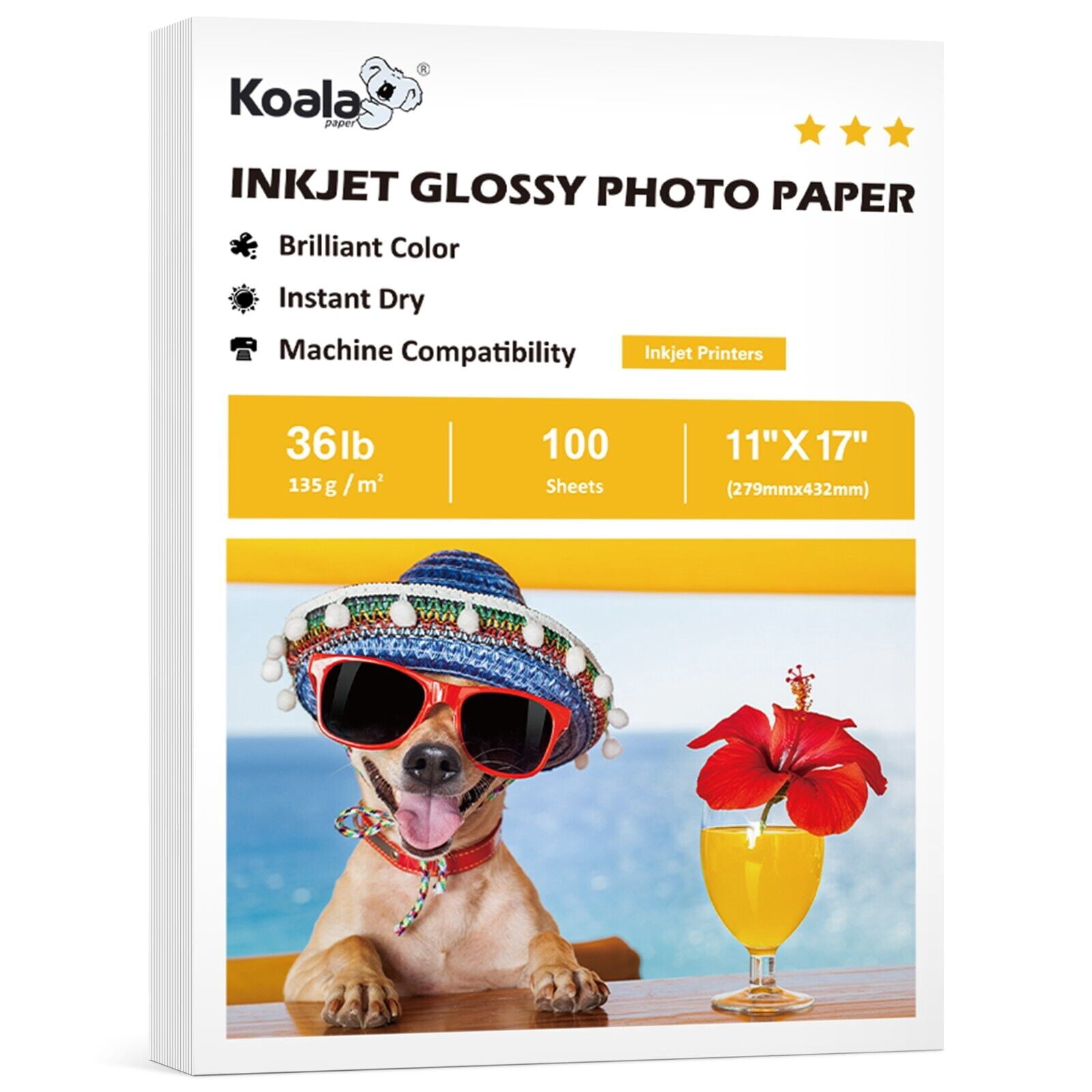 Koala Thin Glossy Printer Photo Paper 11x17 inch 36lb, 100 Sheets ...