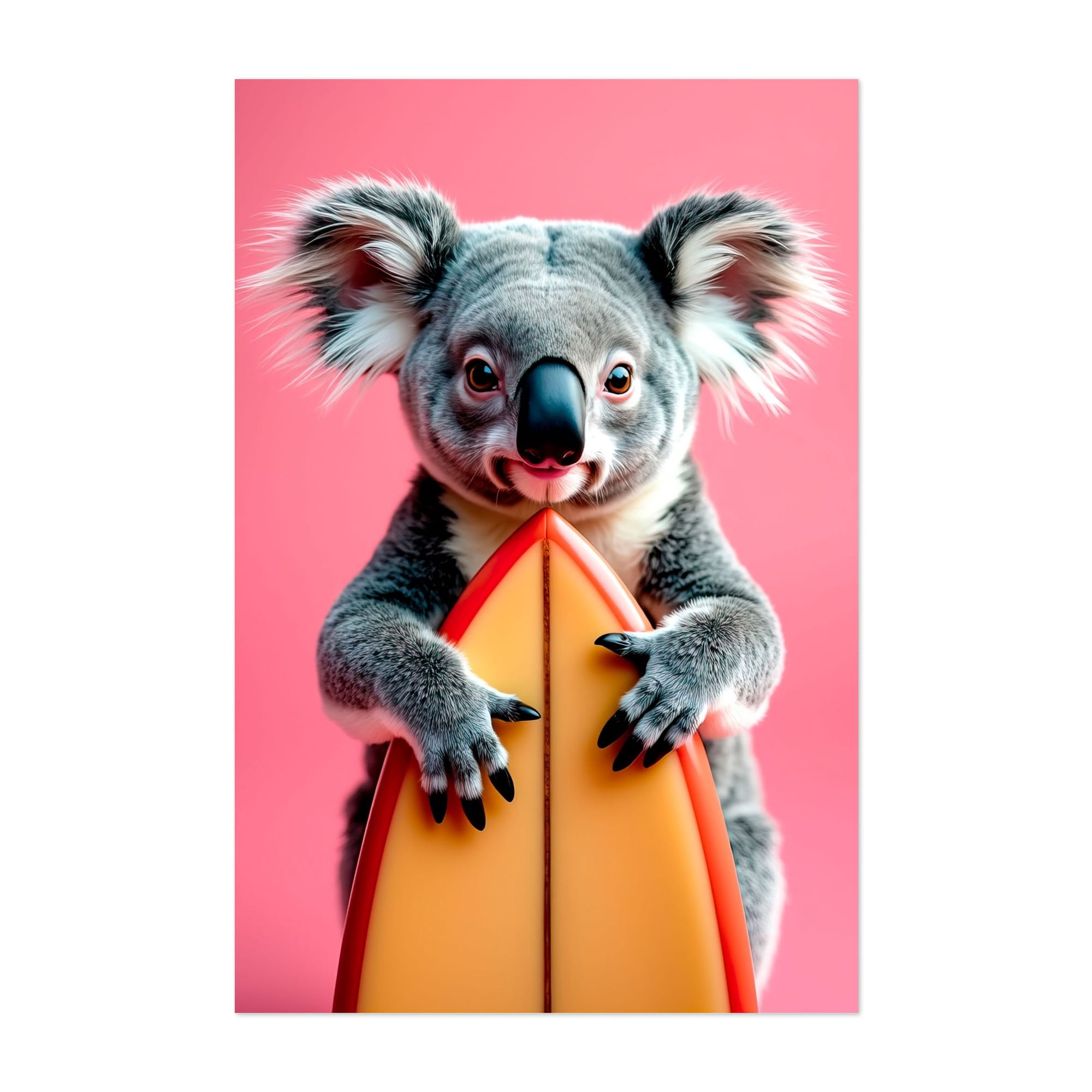 Koala with surfboard - Photography Surfboard Animal Surf Humor Tropical ...