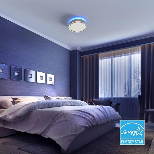 Koda | 14" Motion Sensor LED Ceiling Light, Close to Ceiling Light ...