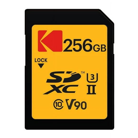 256 GB Memory Cards