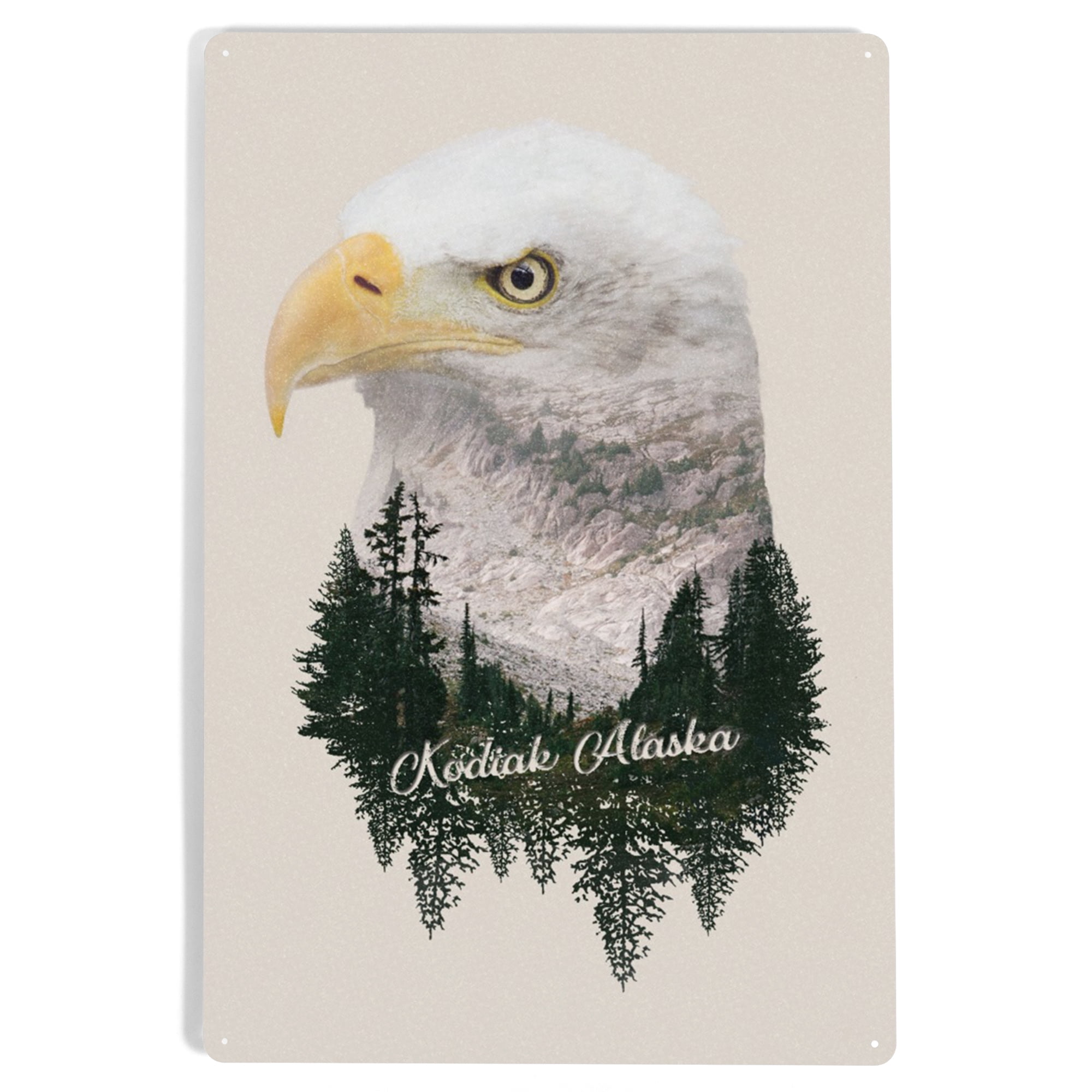 Kodiak, Alaska, Eagle, Double Exposure (12x18 Aluminum Art, Indoor ...