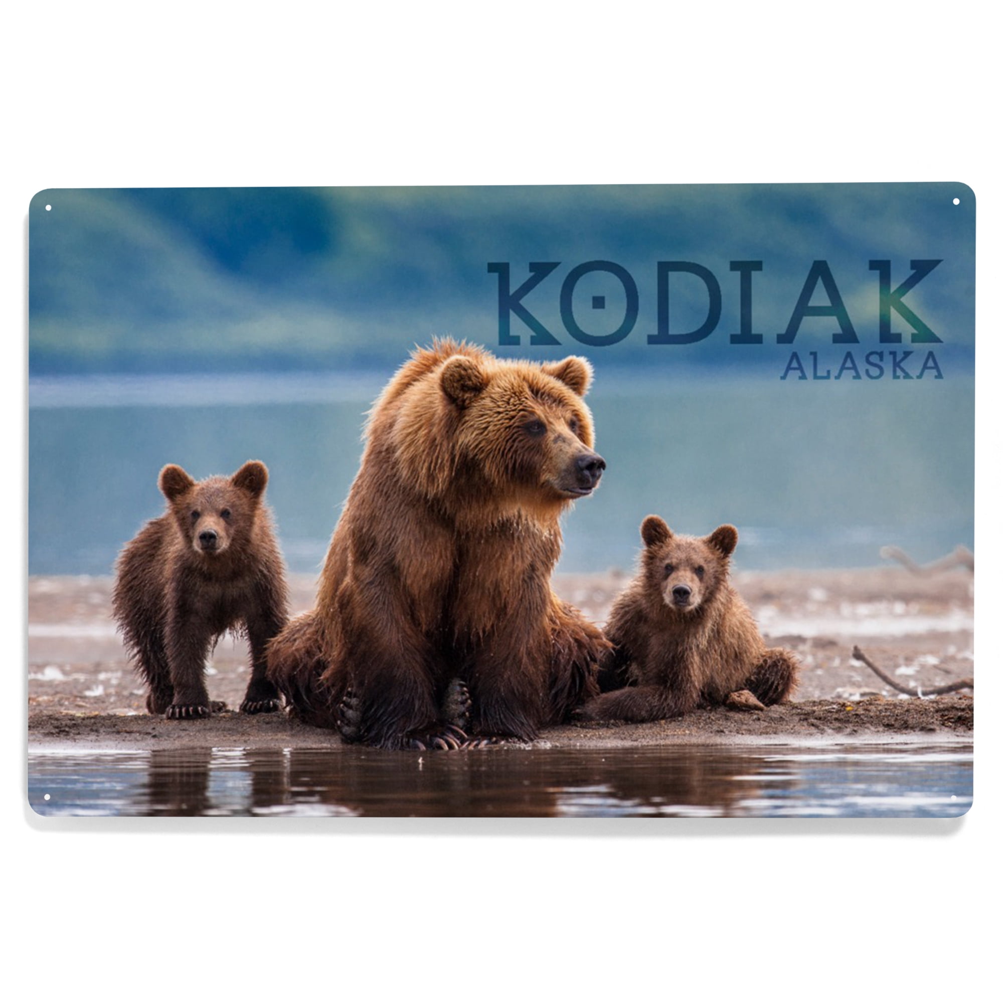 Kodiak, Alaska, Grizzly Bear Family (12x18 Aluminum Art, Indoor Outdoor ...
