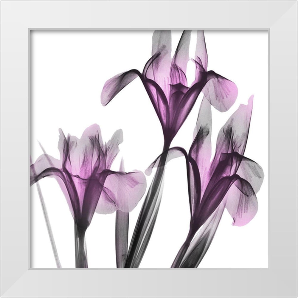 Koetsier, Albert 12x12 White Modern Wood Framed Museum Art Print Titled ...