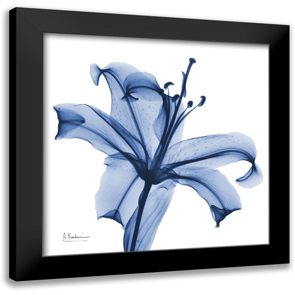 Koetsier, Albert 15x15 Black Modern Framed Museum Art Print Titled - Glorious Indigo Lily ...