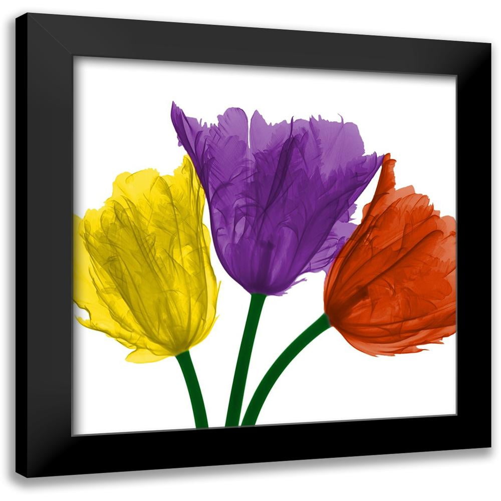 Koetsier, Albert 15x15 Black Modern Framed Museum Art Print Titled ...