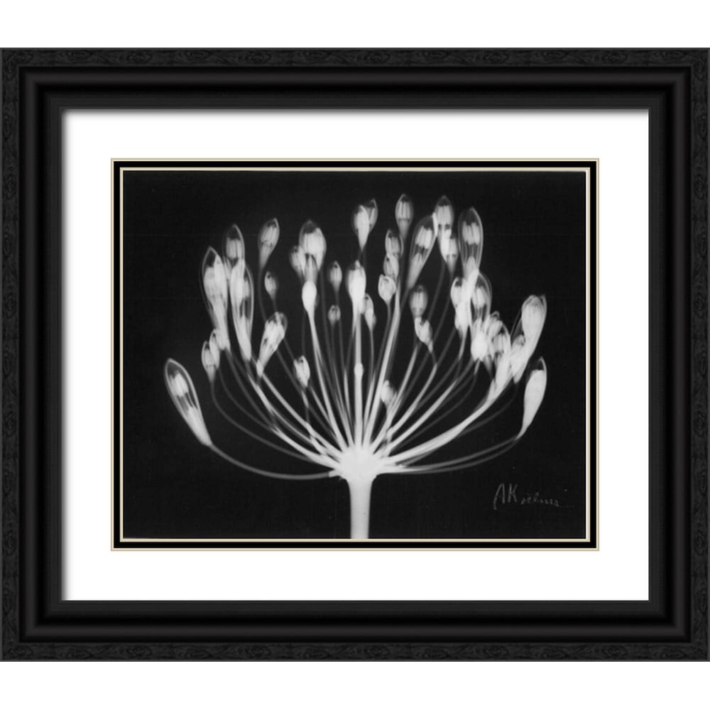 Koetsier, Albert 18x15 Black Ornate Wood Framed with Double Matting ...