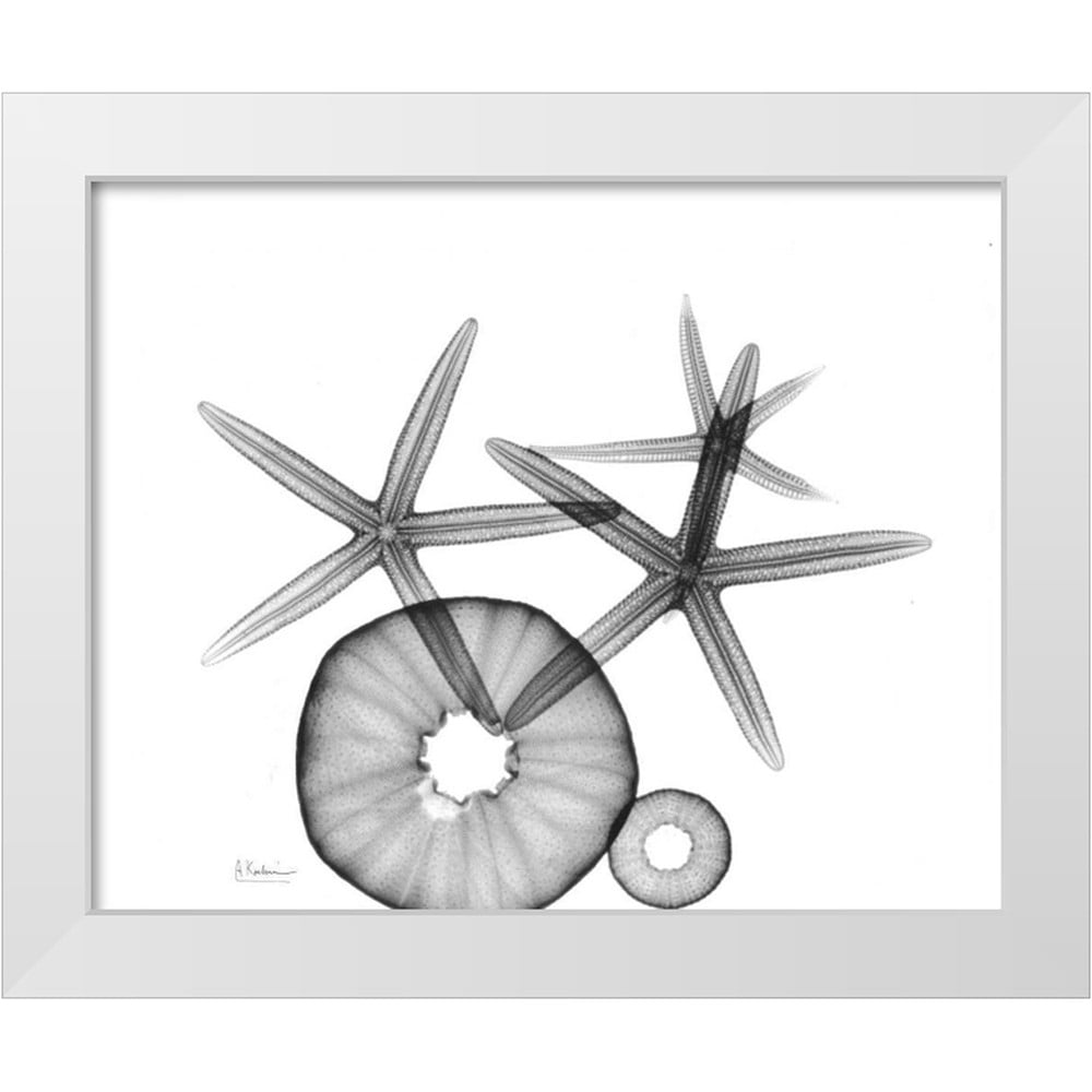 Koetsier, Albert 18x15 White Modern Wood Framed Museum Art Print Titled ...