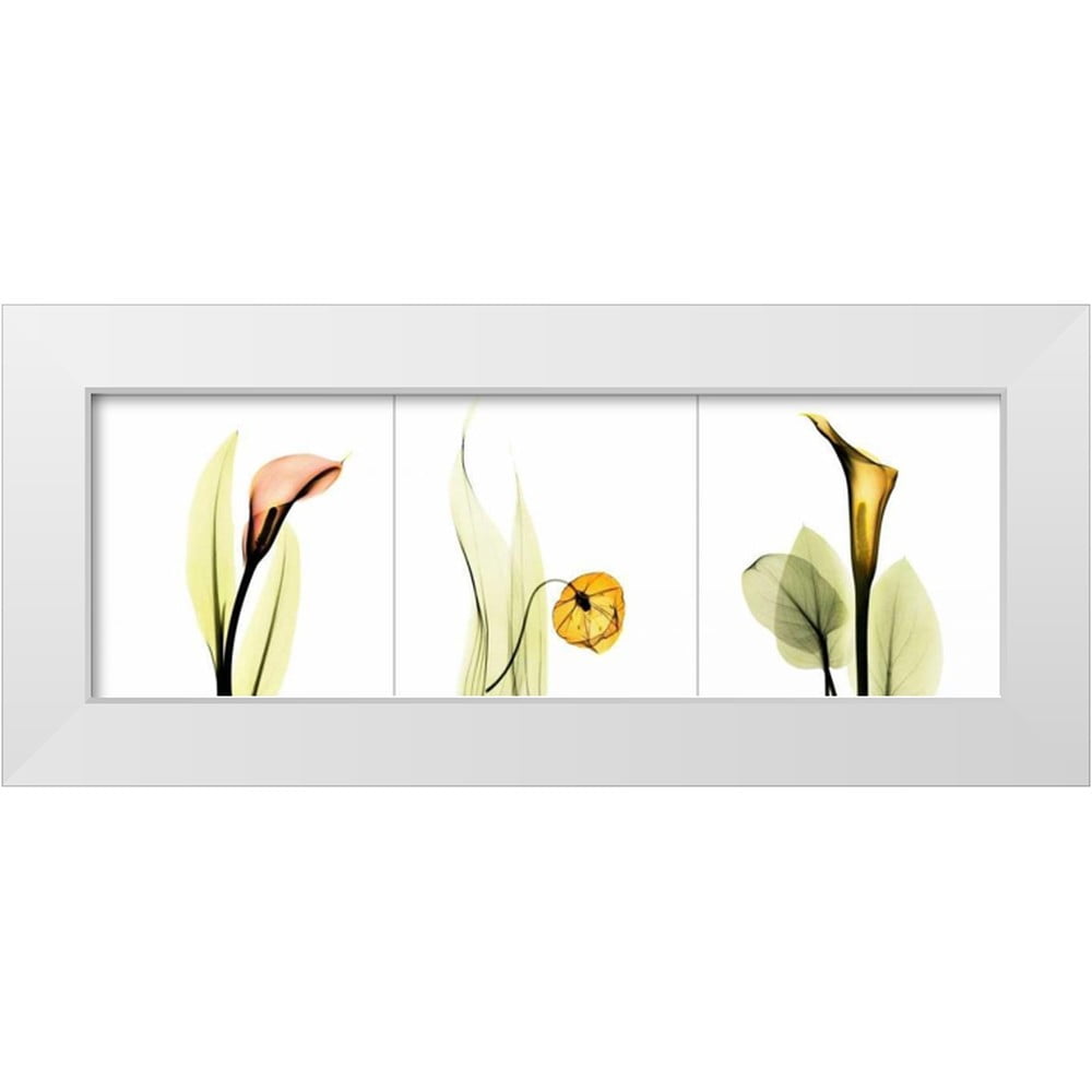 Koetsier, Albert 18x9 White Modern Wood Framed Museum Art Print Titled ...