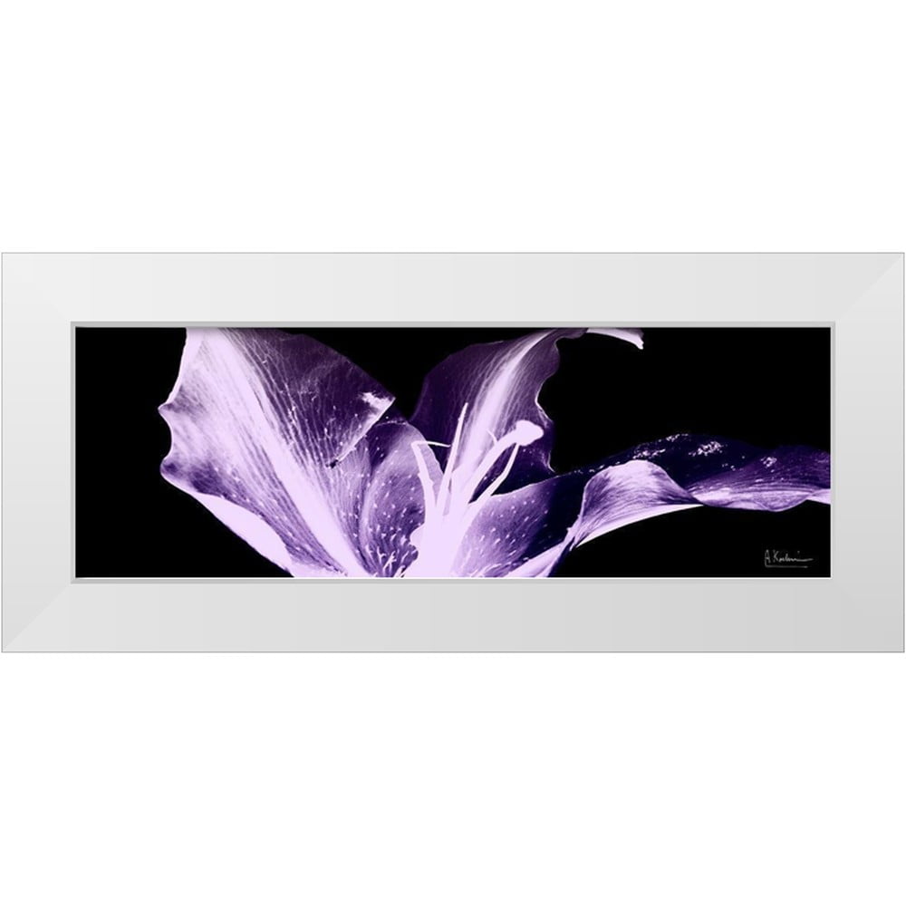 Koetsier, Albert 18x9 White Modern Wood Framed Museum Art Print Titled - Violet Explosion 1 ...