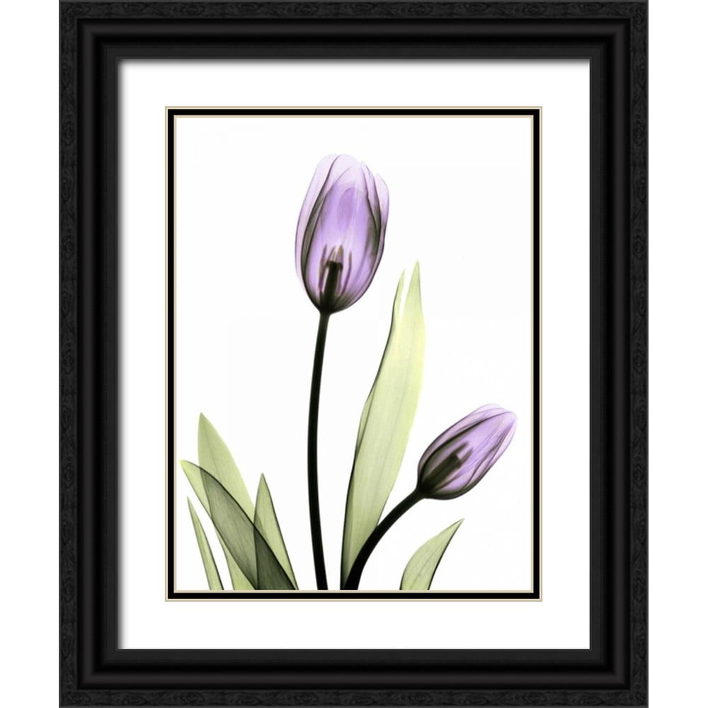 Koetsier, Albert 19x24 Black Ornate Wood Framed with Double Matting ...
