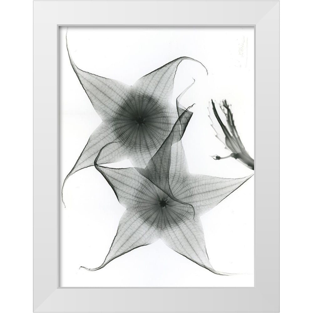 Koetsier, Albert 19x24 White Modern Wood Framed Museum Art Print Titled ...