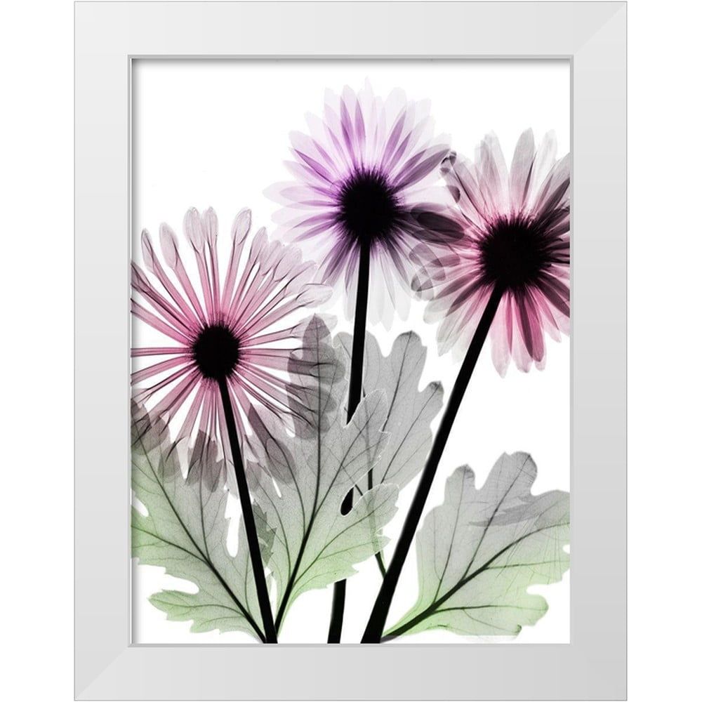 Koetsier, Albert 19x24 White Modern Wood Framed Museum Art Print Titled ...