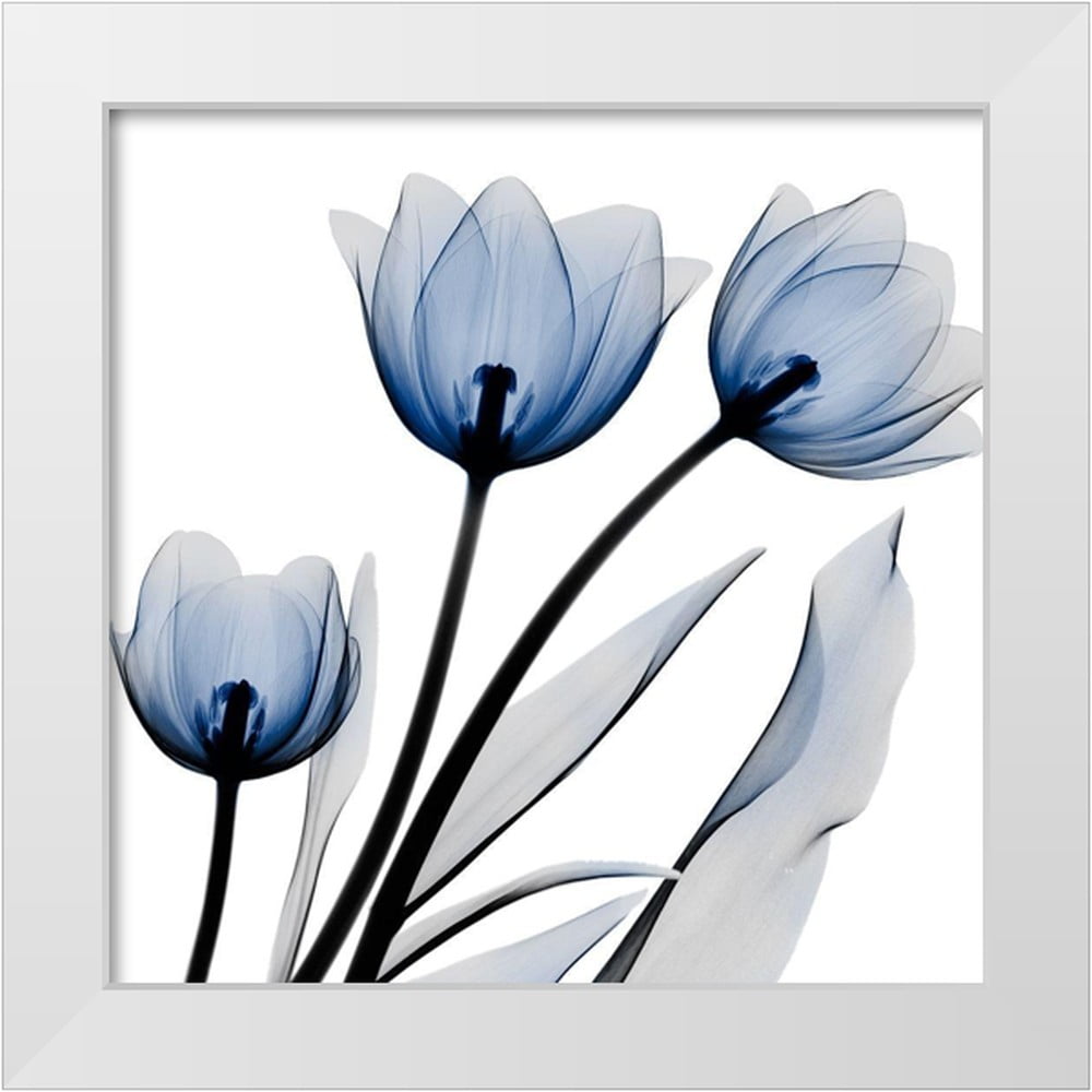 Koetsier, Albert 20x20 White Modern Wood Framed Museum Art Print Titled ...