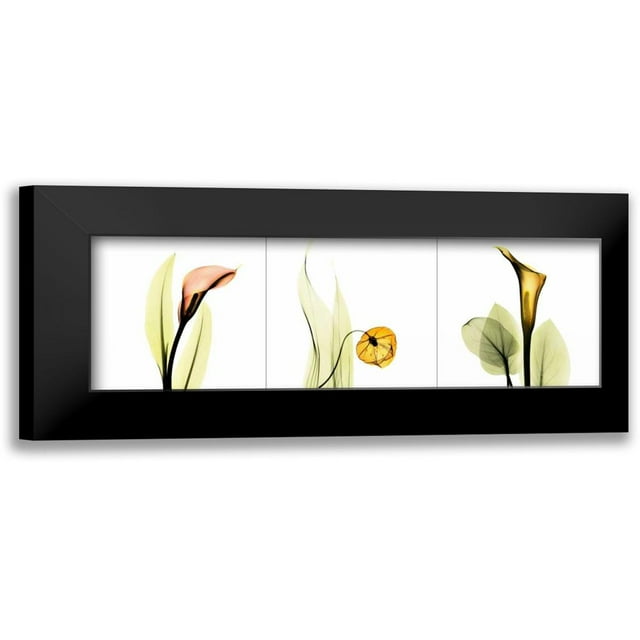 Koetsier, Albert 24x11 Black Modern Framed Museum Art Print Titled ...
