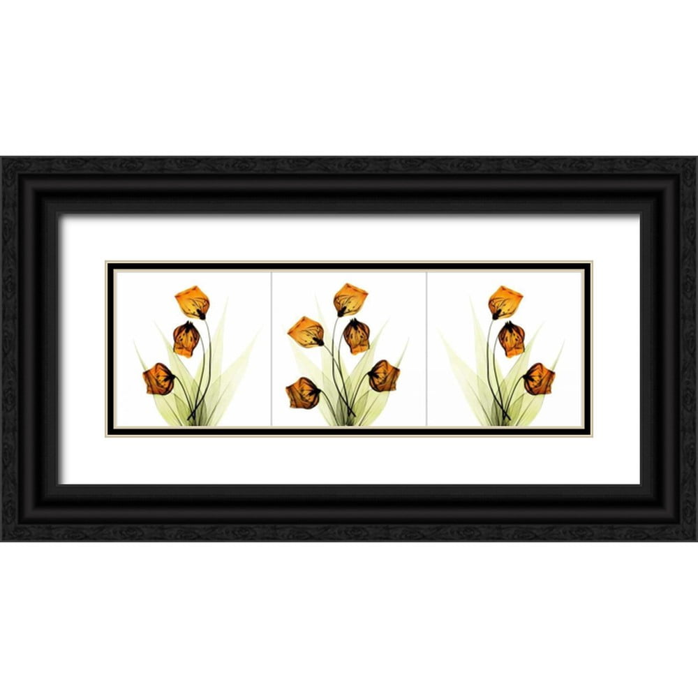 Koetsier, Albert 24x11 Black Ornate Wood Framed with Double Matting ...