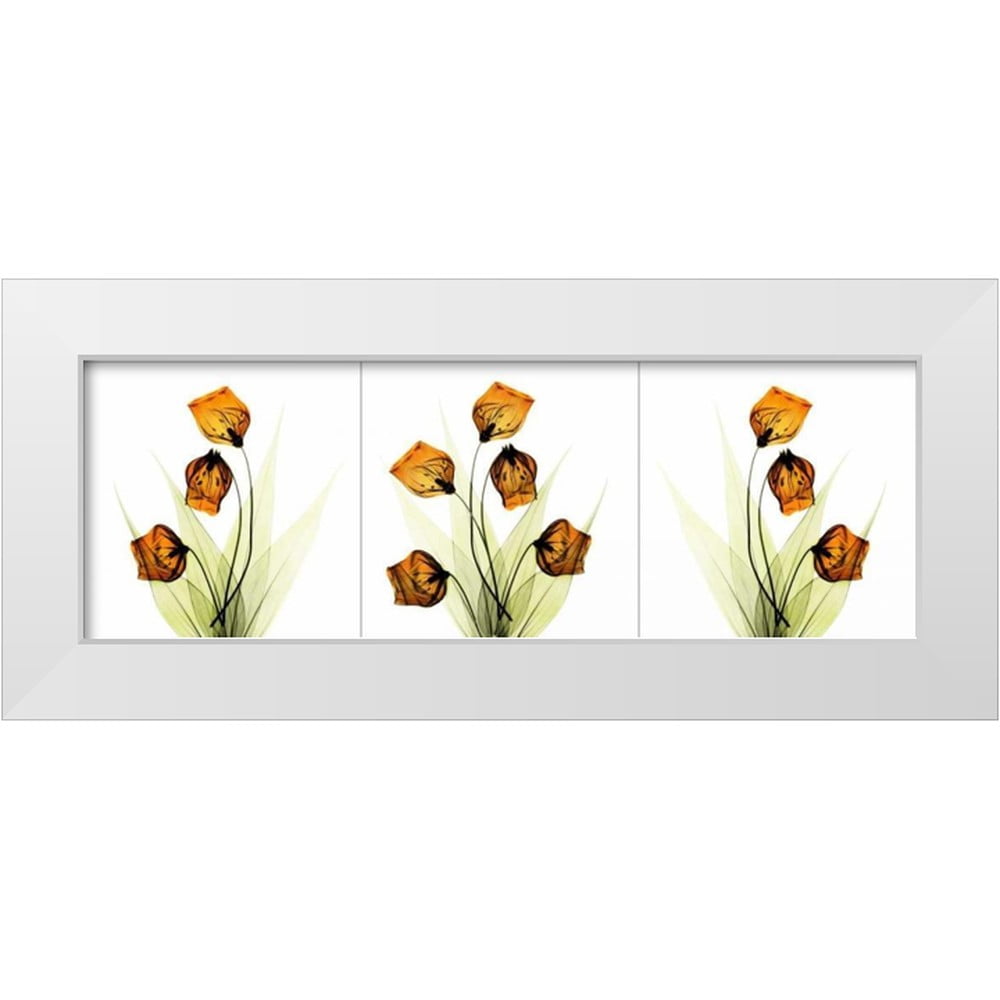 Koetsier, Albert 24x11 White Modern Wood Framed Museum Art Print Titled ...