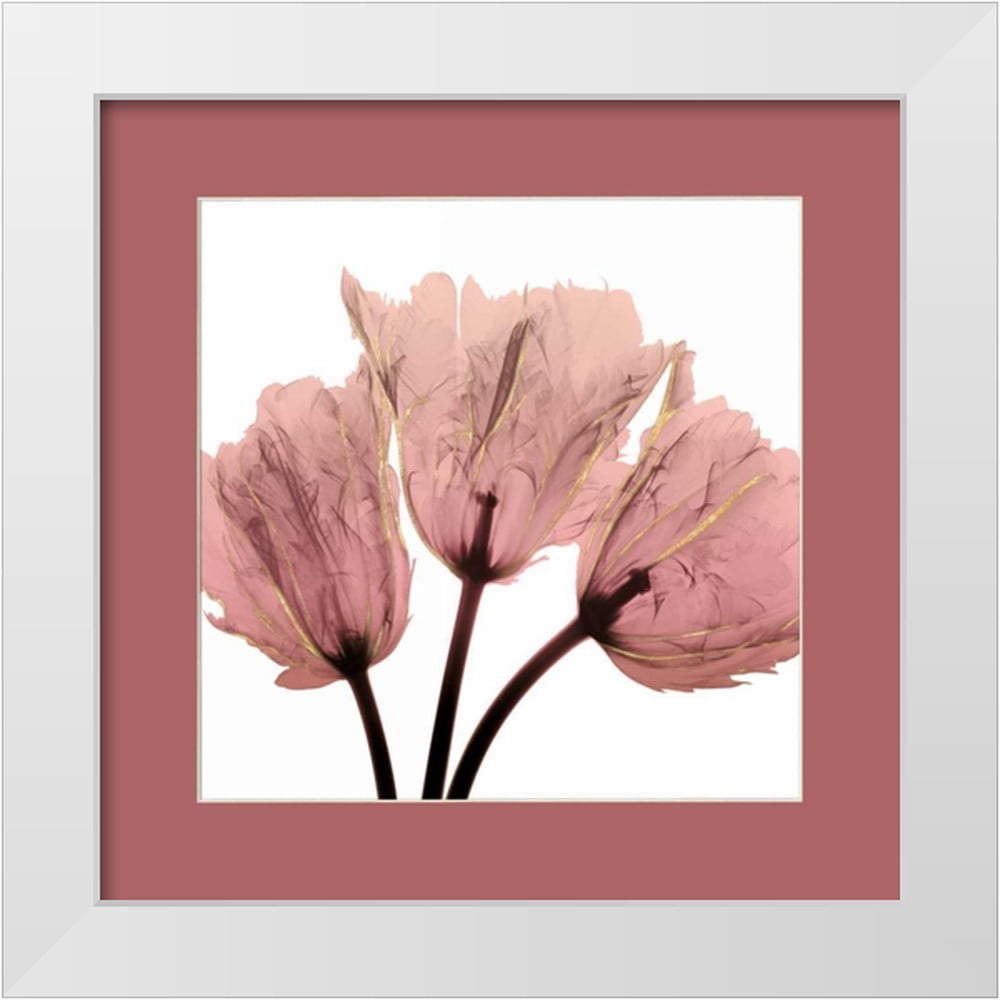 Koetsier, Albert 26x26 White Modern Wood Framed Museum Art Print Titled ...