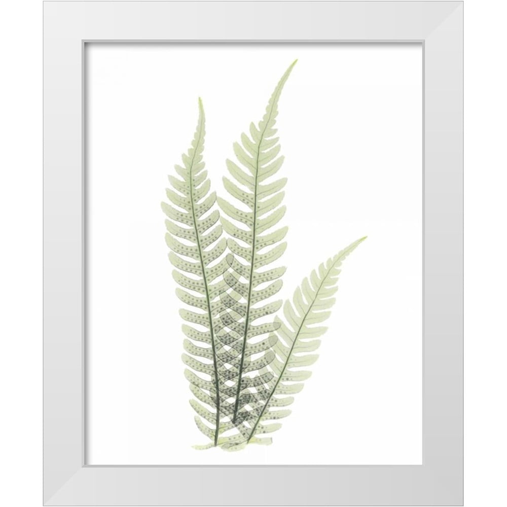 Koetsier, Albert 26x32 White Modern Wood Framed Museum Art Print Titled ...