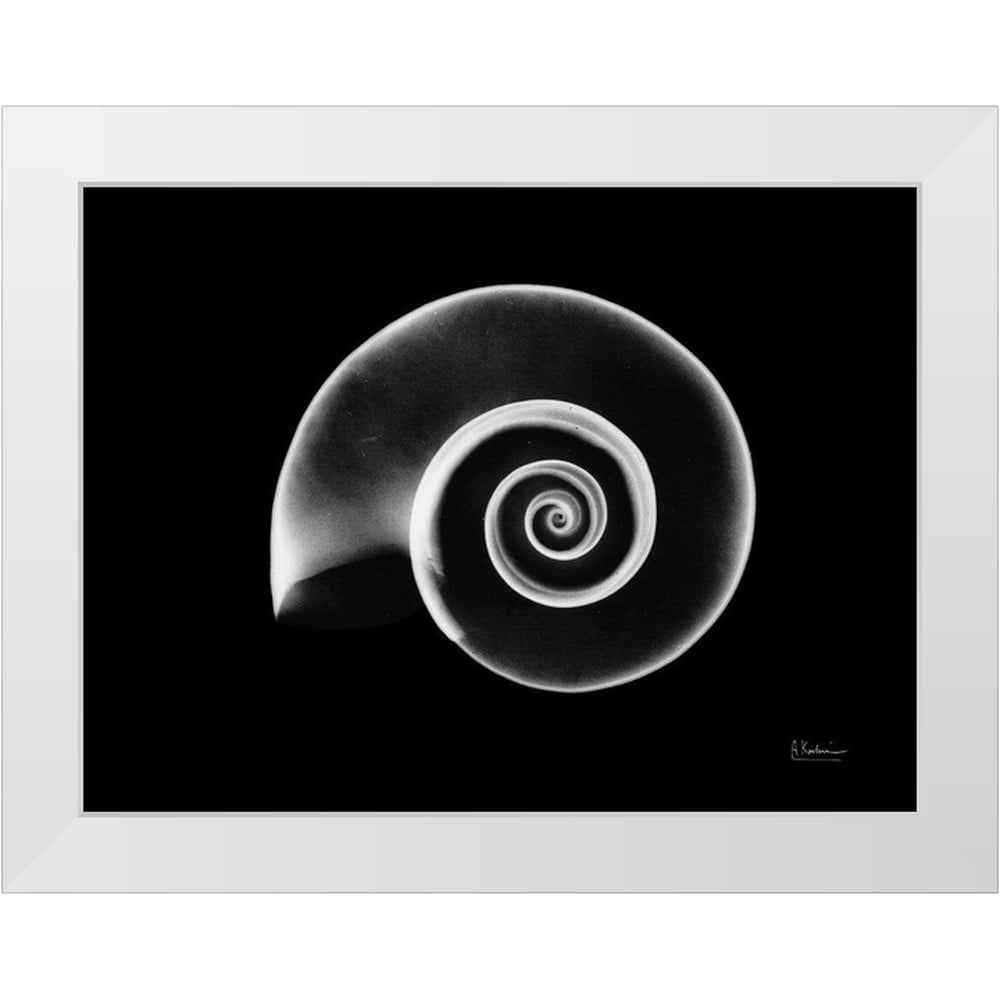 Koetsier, Albert 32x25 White Modern Wood Framed Museum Art Print Titled ...