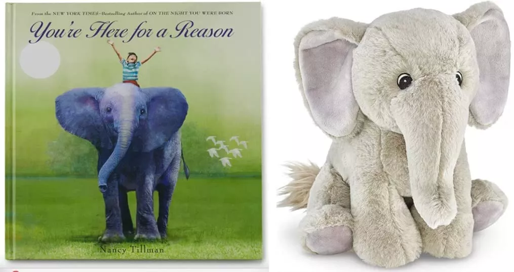 Kohl’s Nancy Tillman Reason Elephant 12” Plush & Book Bundle Stuffed ...