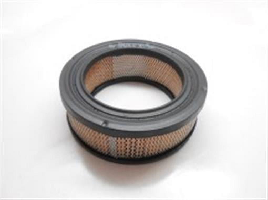 Kohler Dd-Element Air 15 083 06-S - Walmart.com