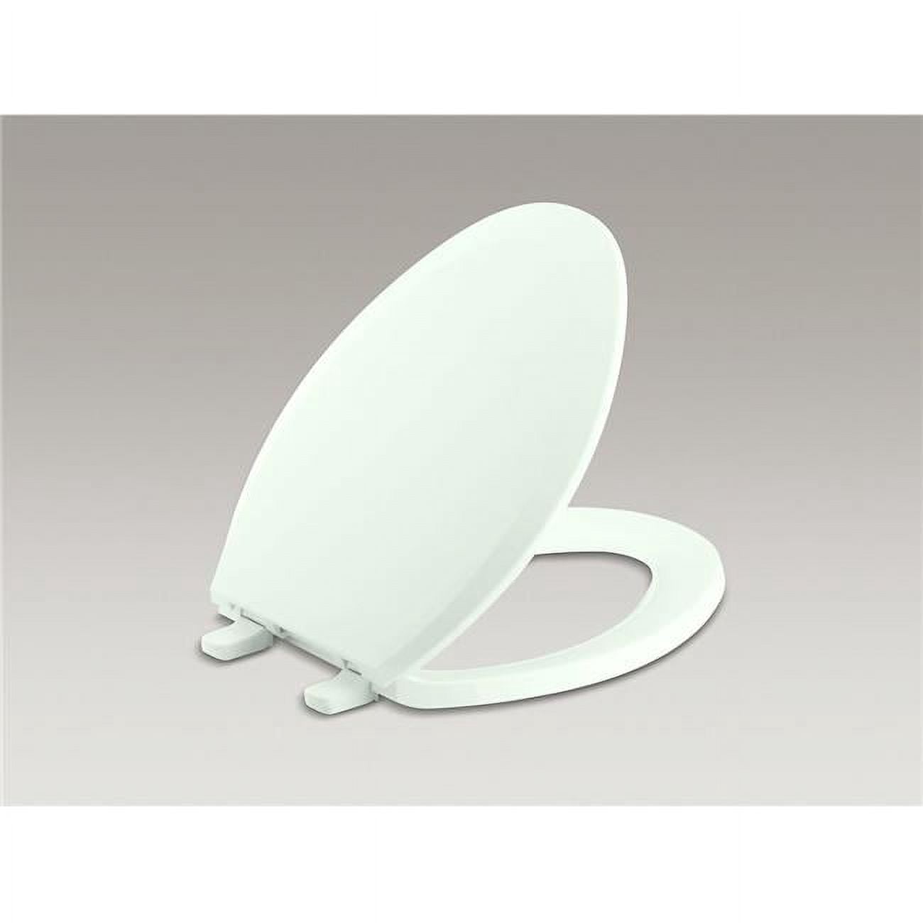 Kohler K-4652-NG Lustra Quick-Release Elongated Toilet Seat - Tea Green ...