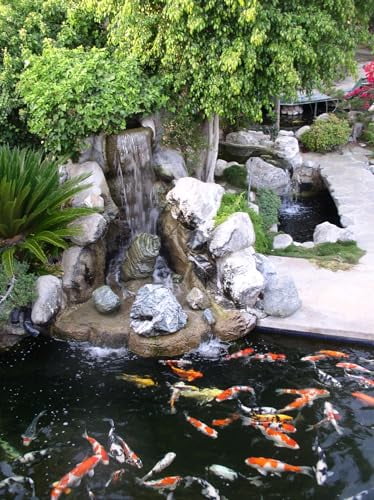 Koi Fish Food, Inochi All-Season Pro - 11 lbs, Medium Floating Pellets ...