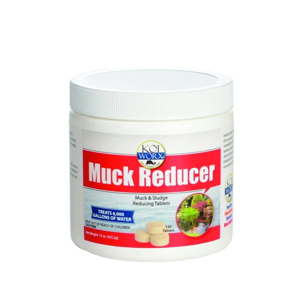 KoiWorx, 145 tablets Dry Beneficial Bacteria Muck Reducer - Walmart ...
