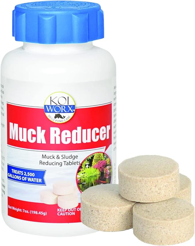 Koiworx Muck Reducer - Treats up to 2,500 gallons for up to 4 Months ...