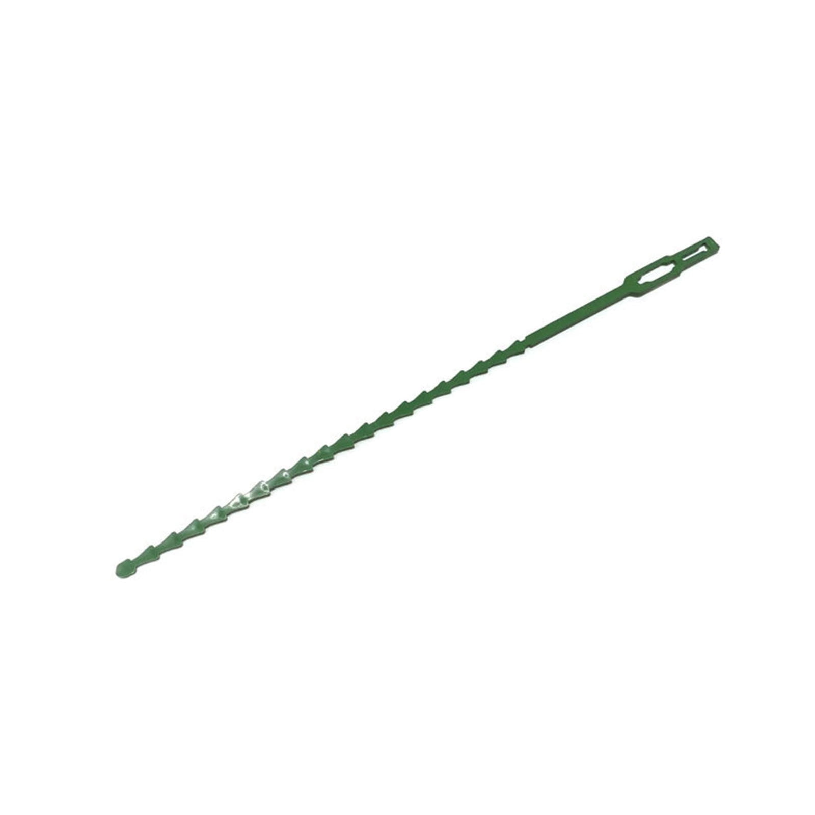 Kojanyu 100Pcs Multipurpose Green Tree Ties,Plastic Vine Binding Strap ...