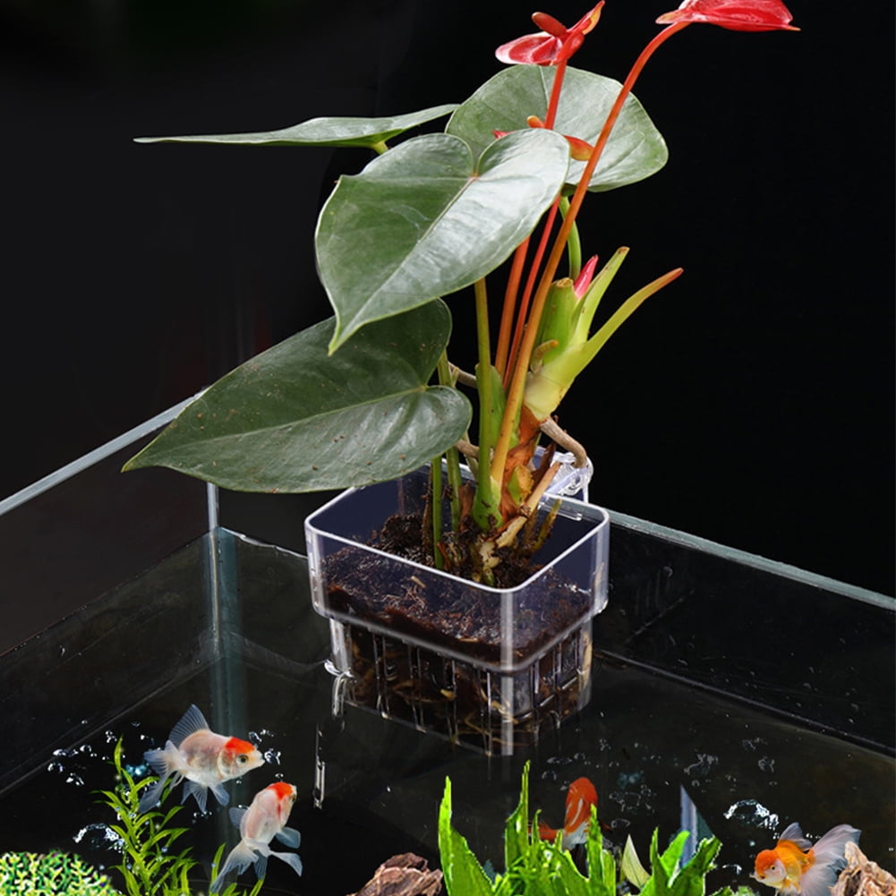 Kojooin Hanging Aquarium Planter Cups, Wall Mounted Aquatic Plants ...