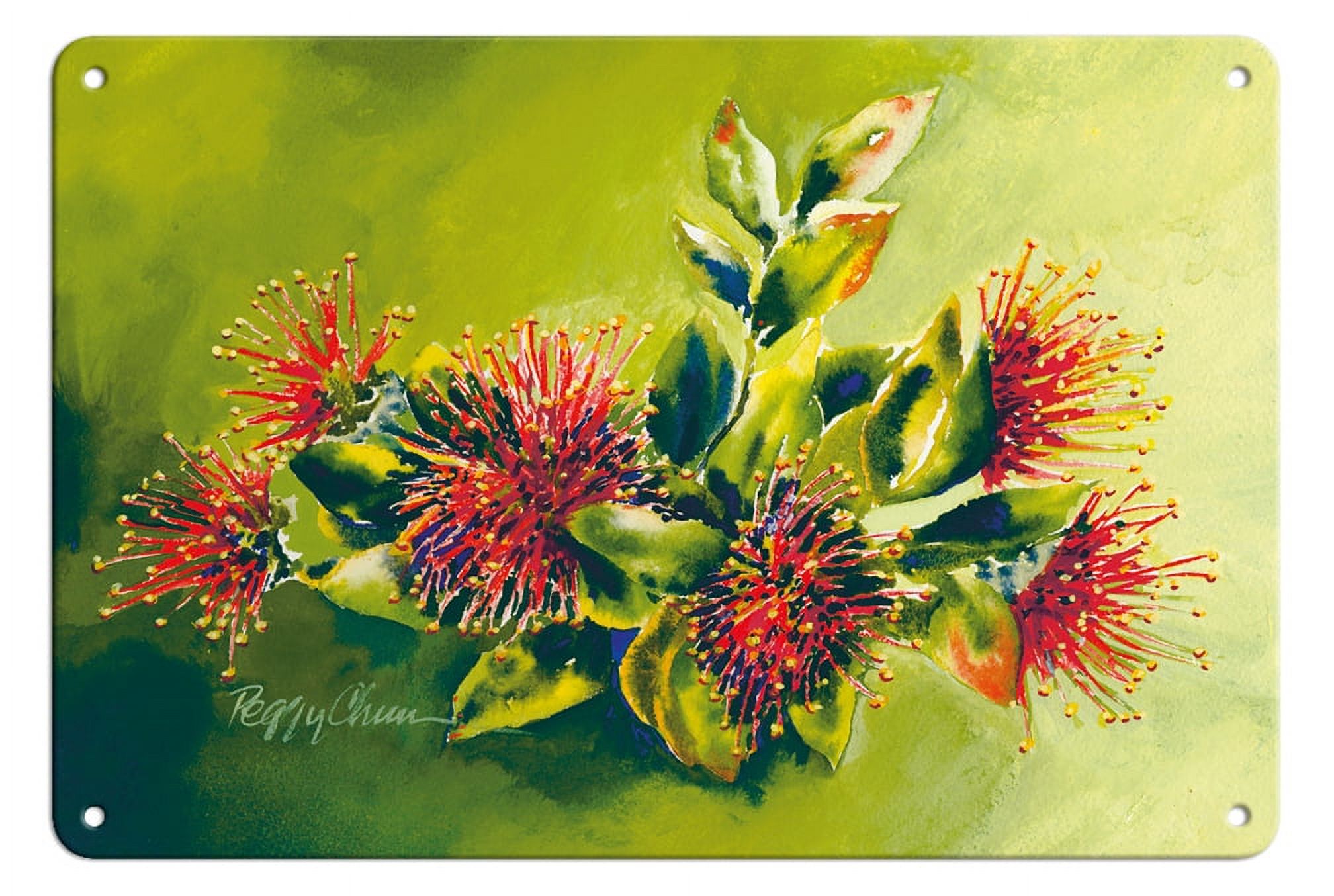 Koke'e Ohia - Native Hawaiian Ohia Lehua Tree Blossom - From an ...