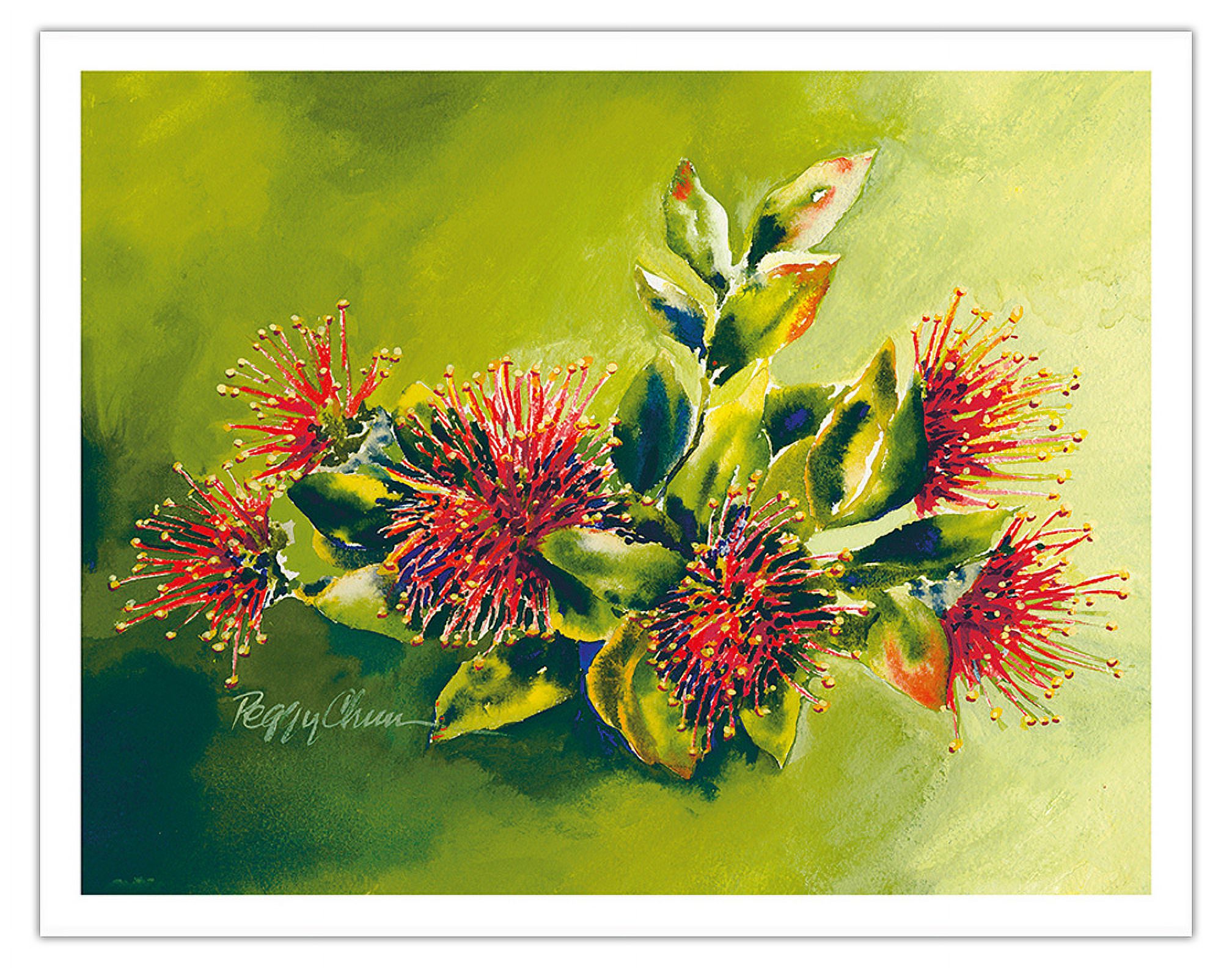 Koke'e Ohia - Native Hawaiian Ohia Lehua Tree Blossom - From an ...