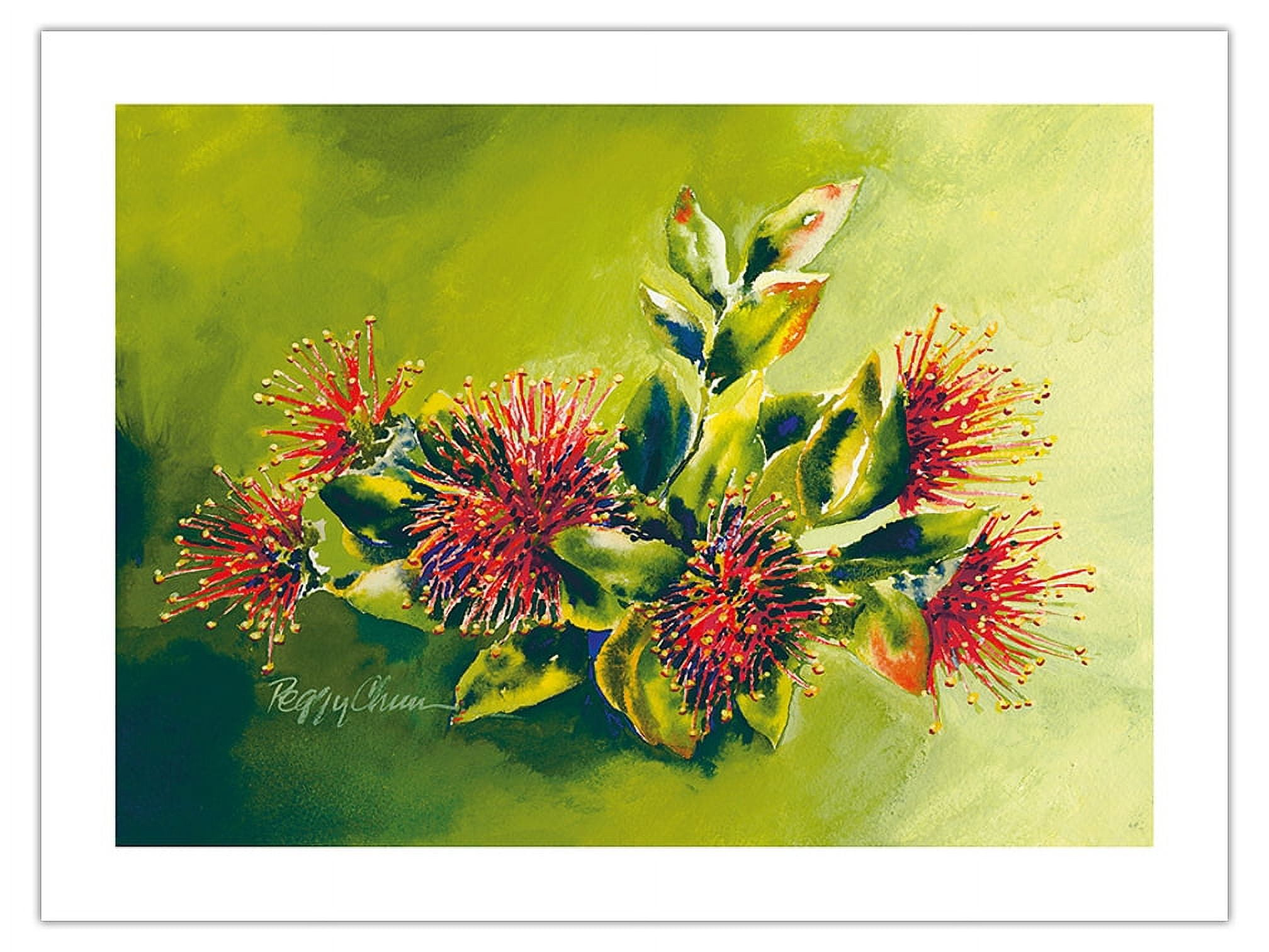 Koke'e Ohia - Native Hawaiian Ohia Lehua Tree Blossom - From an ...