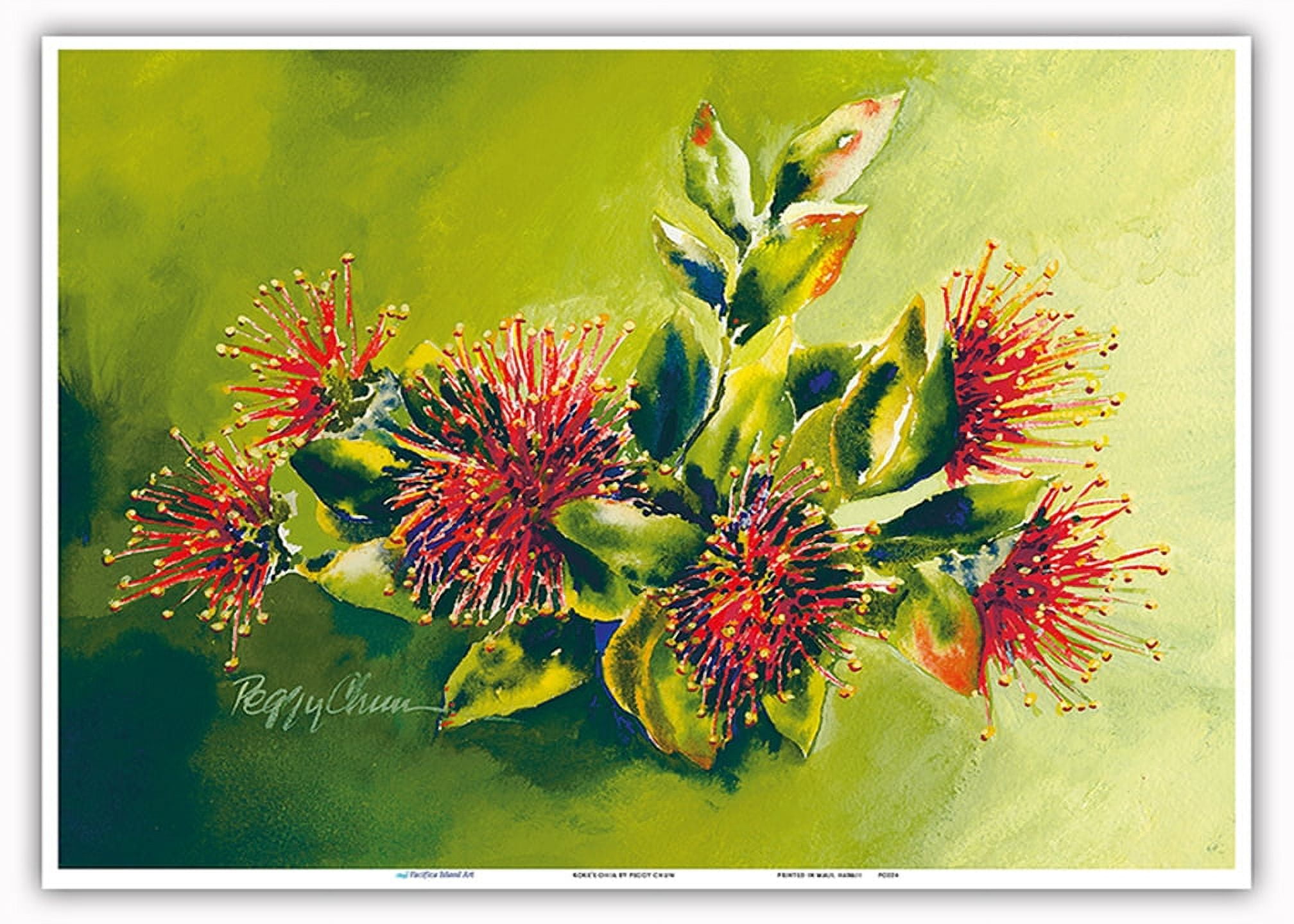 Koke'e Ohia - Native Hawaiian Ohia Lehua Tree Blossom - From an ...