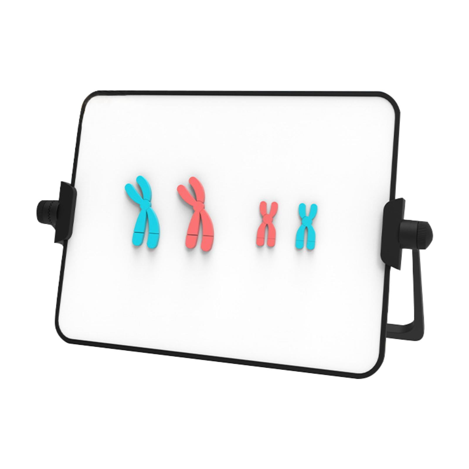 Kokiya Meiosis Chromosome Change Model Kit Science Reusable with ...