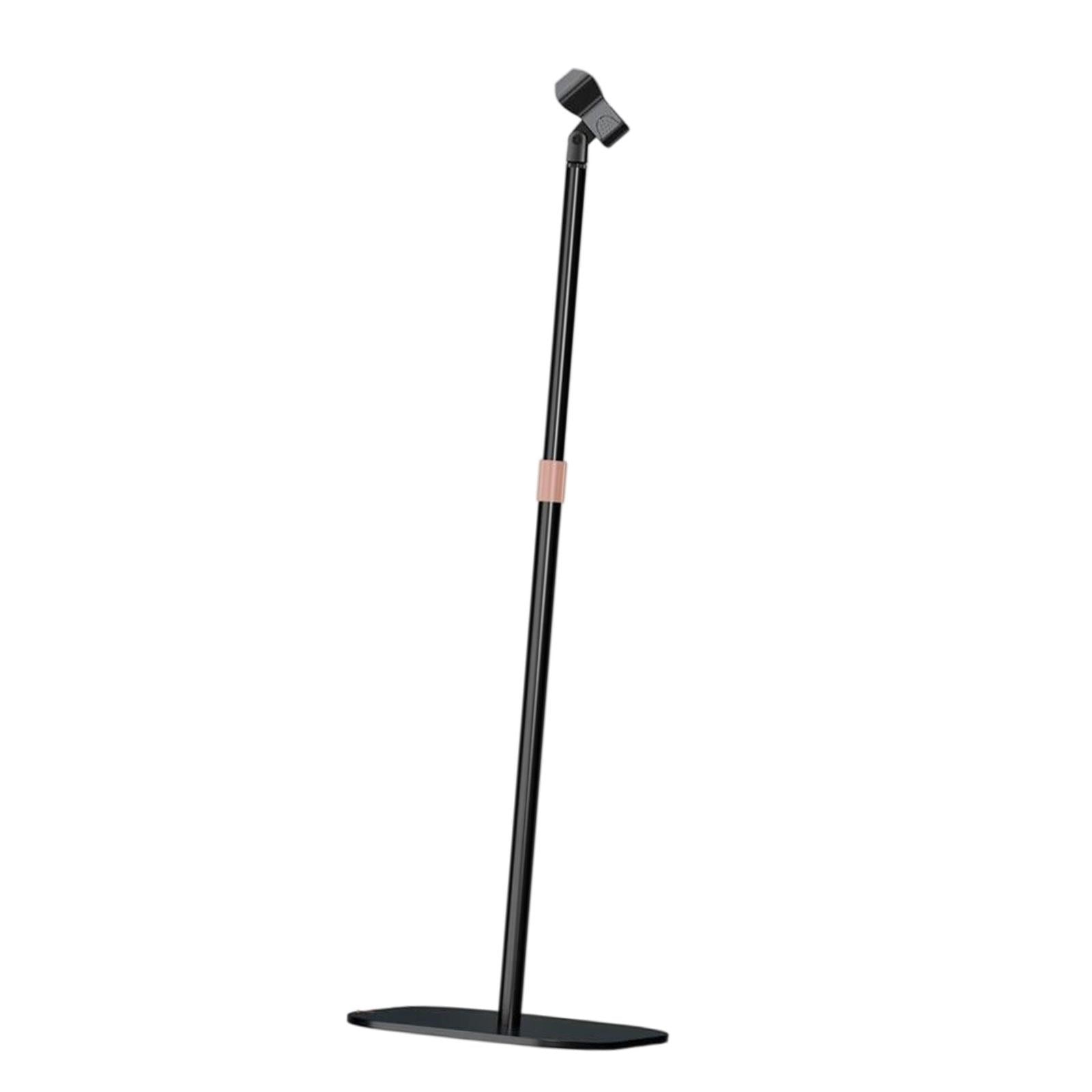 Kokiya Vertical Mic Stand Floor Mic Stand for Outdoor Performances ...